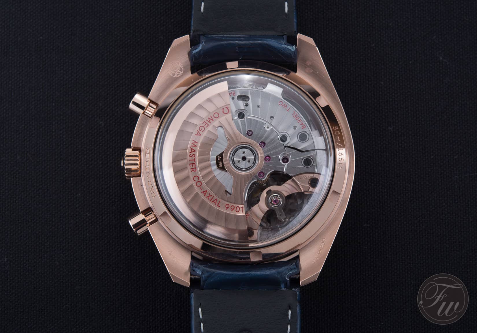 Speedy Tuesday - Sedna Gold Speedmaster Racing Master Chronometer