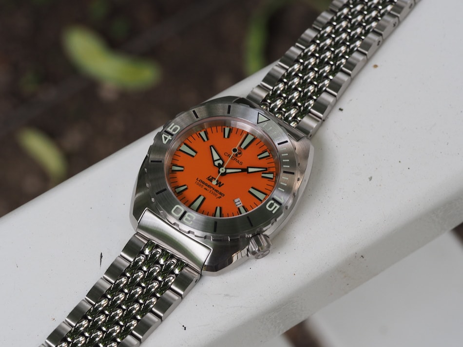 The Crepas Loggerhead - The Newest DWFG Watch
