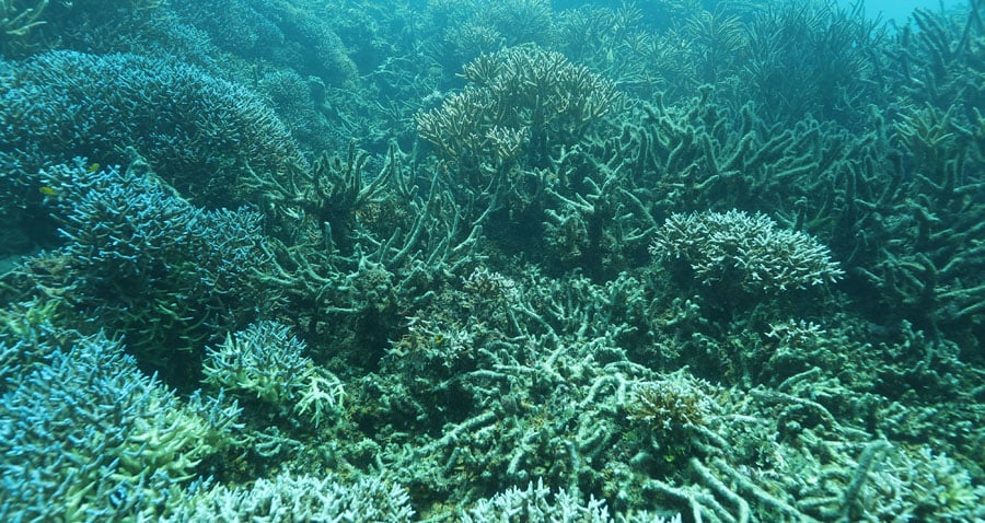 CITIZEN PROMASTER – Spirit of Challenges