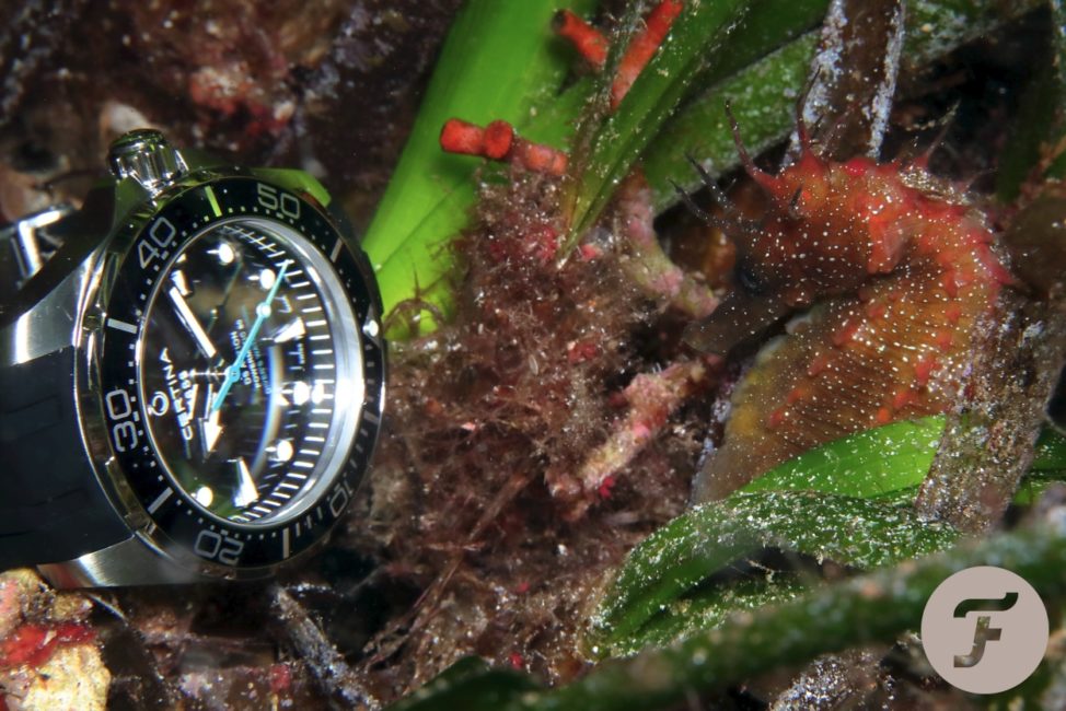 【F】 How I Began And Ceased Being A Watch Collector