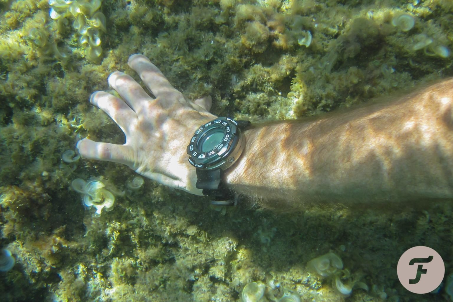 Five Popular Dive Watches I Actually Went Diving With
