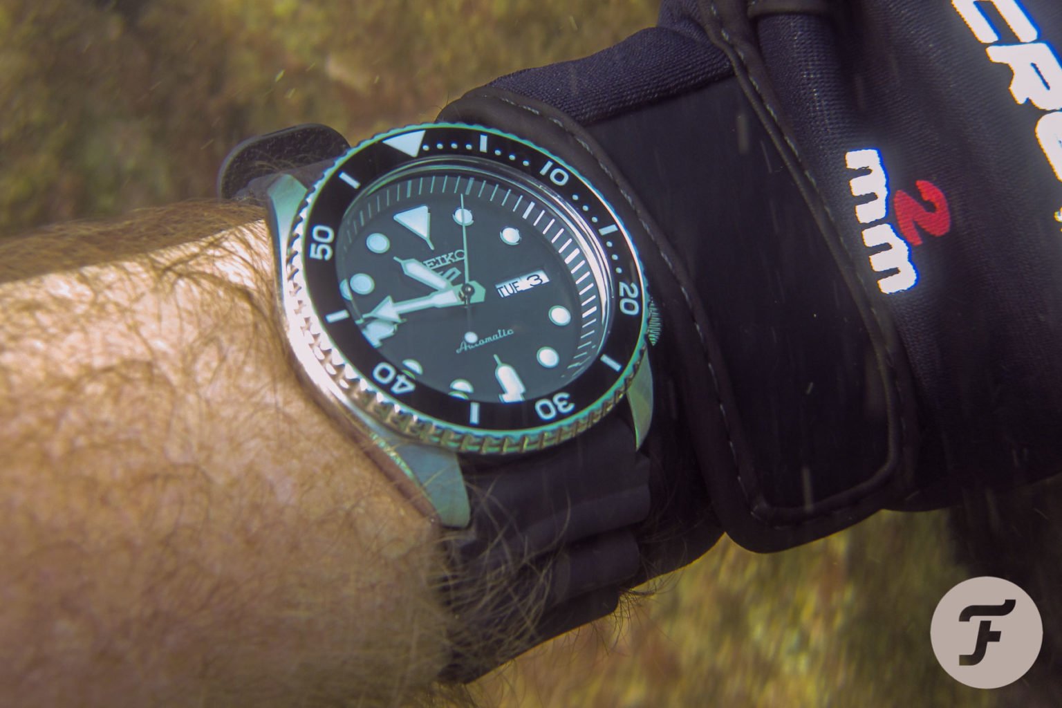Five Popular Dive Watches I Actually Went Diving With