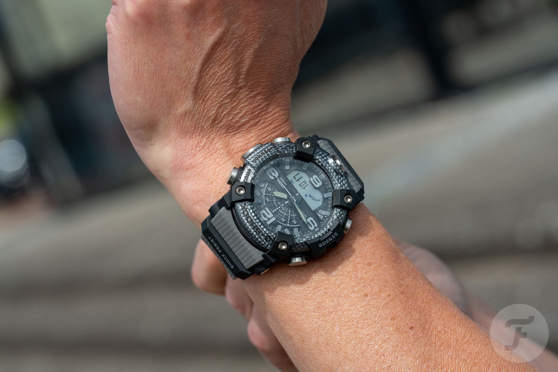 Casio: Master Of G Mudmaster, Gravitymaster, And Frogman (2021)