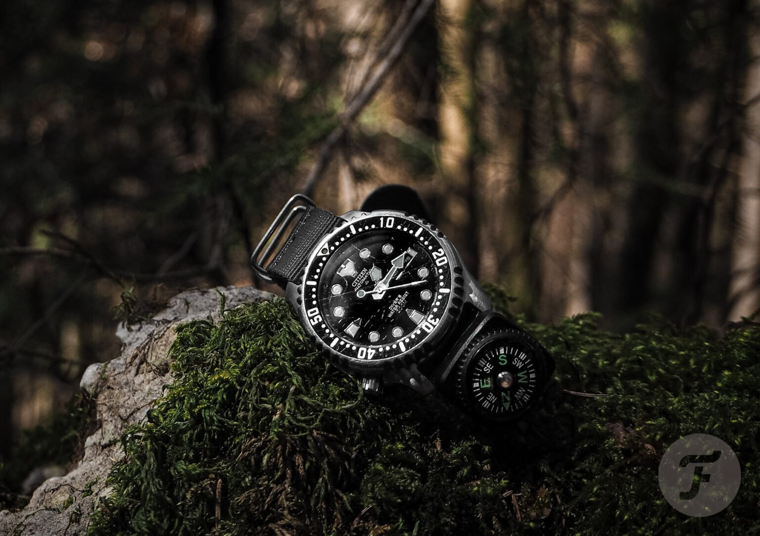 【F】 Best Beater Watches in 2022 — Seiko, Citizen, And More