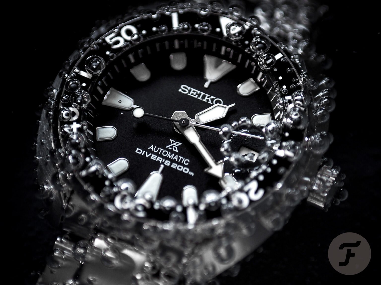 【F】The Seiko SRPC35K1 Mini Turtle: Underrated Future Cult Classic?