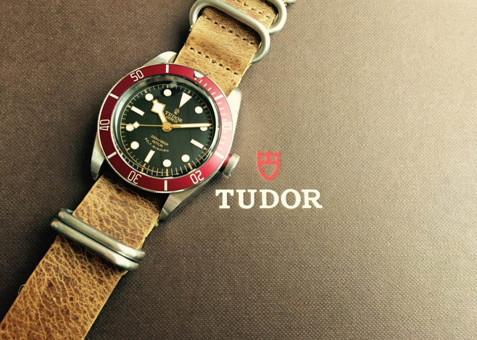 【F】 Tudor's Ten-Year Transformation