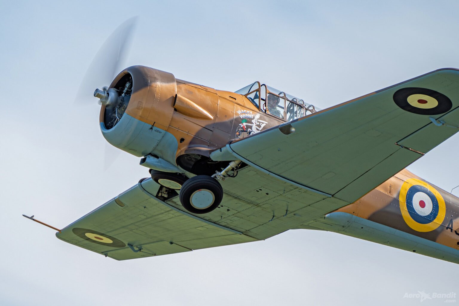 【F】 Discussing Watches And Flying With A Modern Warbird Pilot