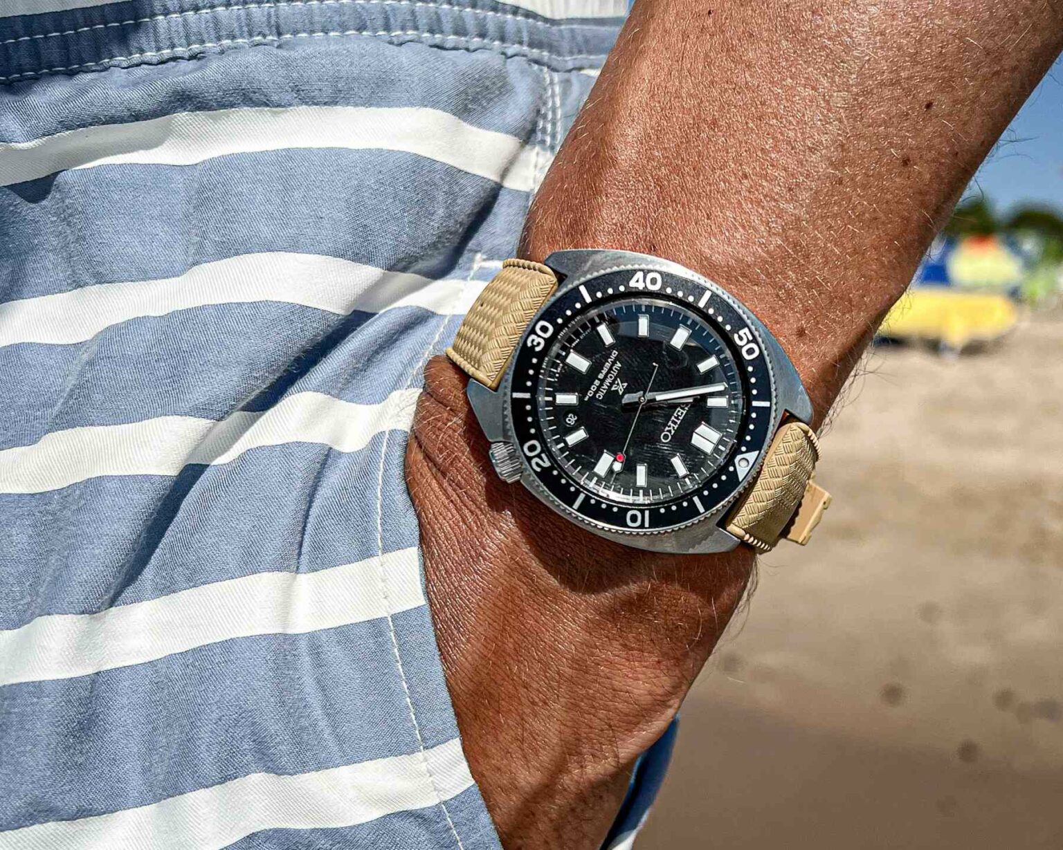 【F】 The 10 Best Affordable Dive Watches Today