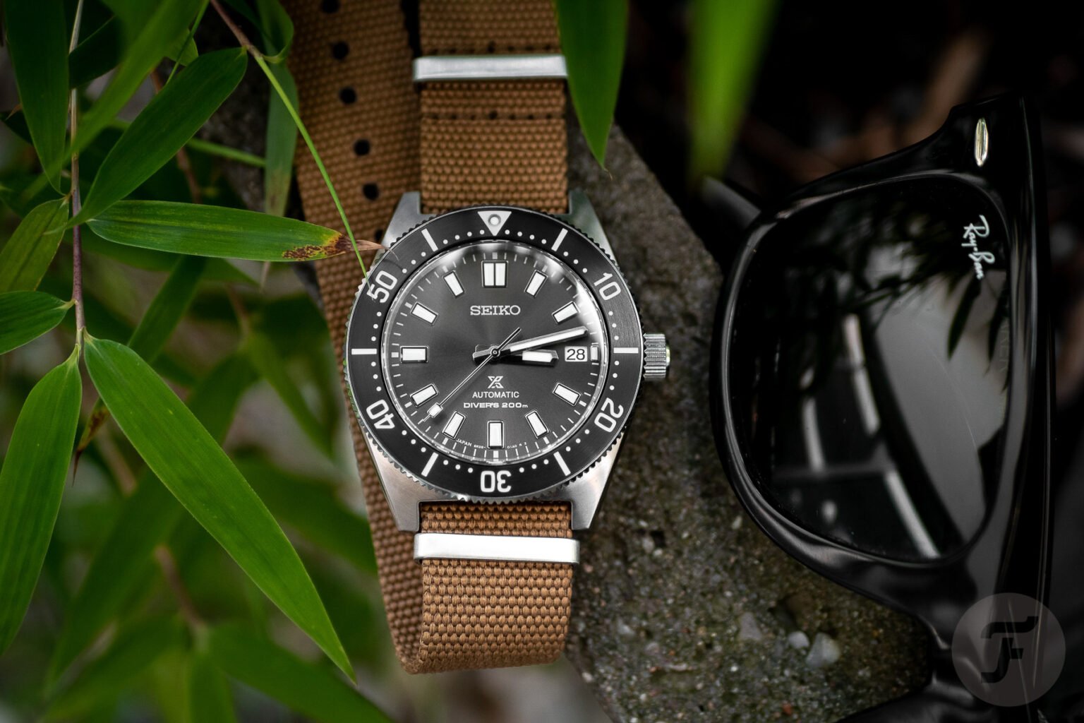 【F】 The 10 Best Affordable Dive Watches Today