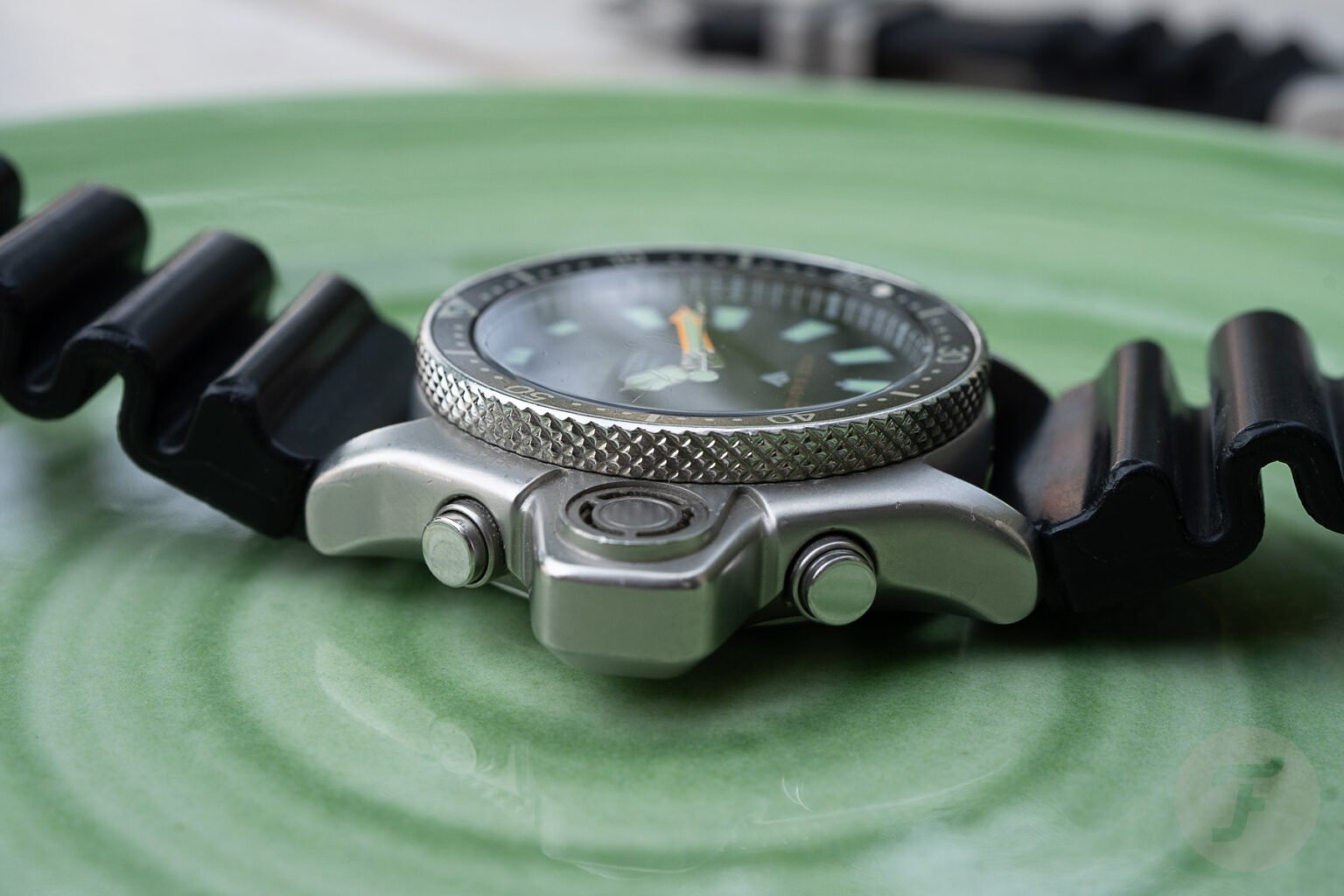 【F】 Citizen Promaster Aqualand JP2000-08E: Evergreen Legend