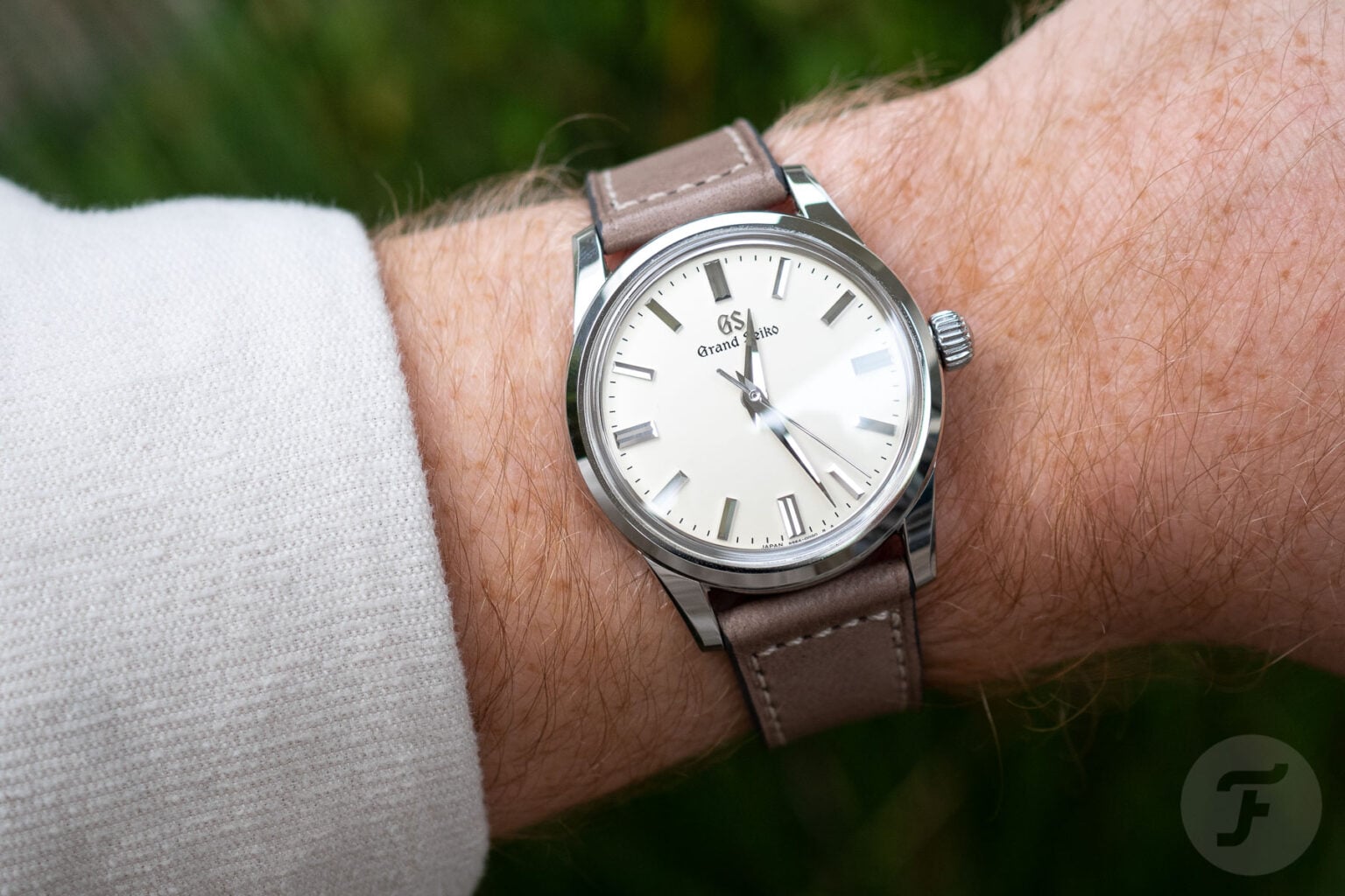 【F】 Is The SBGW231 The Best Grand Seiko Watch For Me?