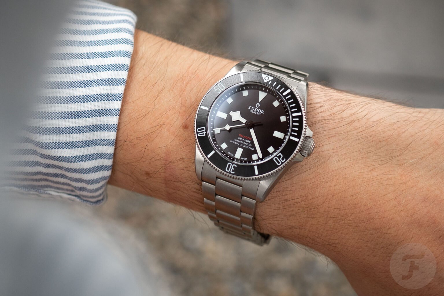 【F】 Tudor Pelagos Vs. Tudor Pelagos 39