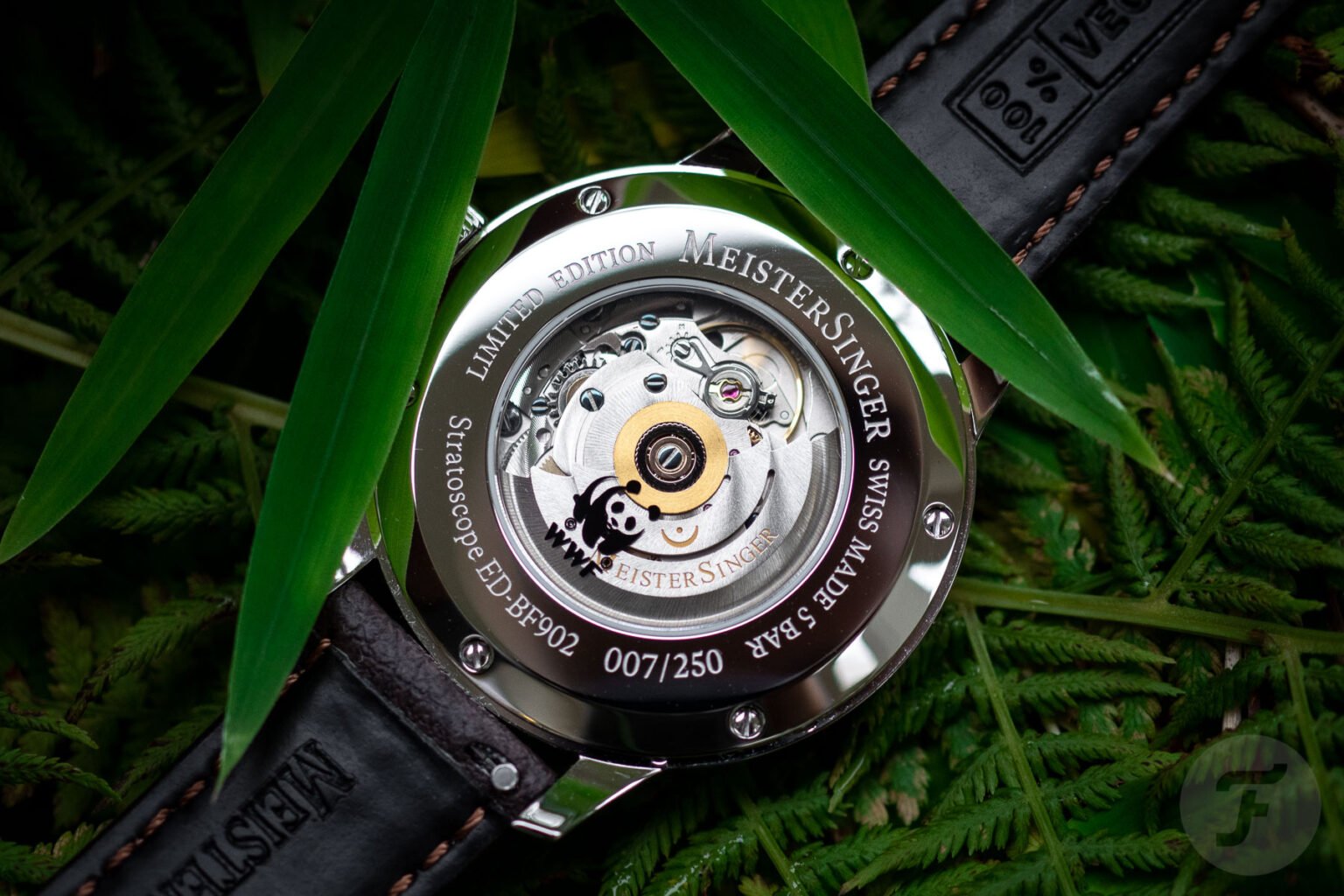 【F】 MeisterSinger Stratoscope Edition Best Friends For WWF