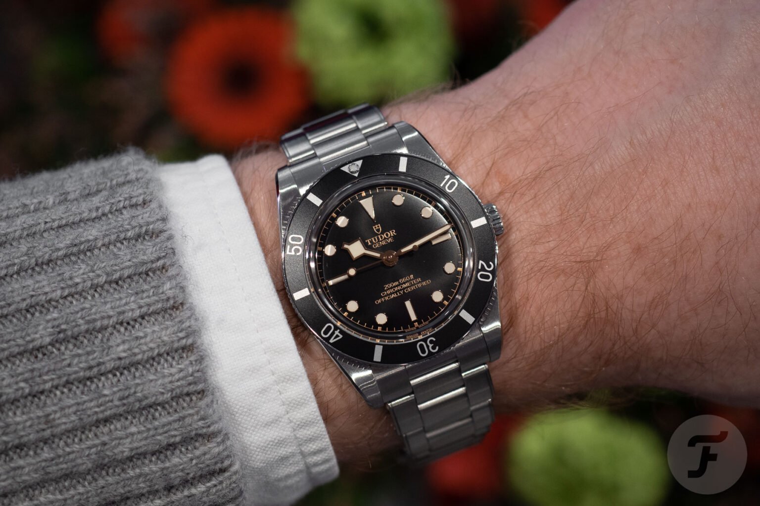 【F】 Tudor Black Bay 54 Vs. Tudor Black Bay 58