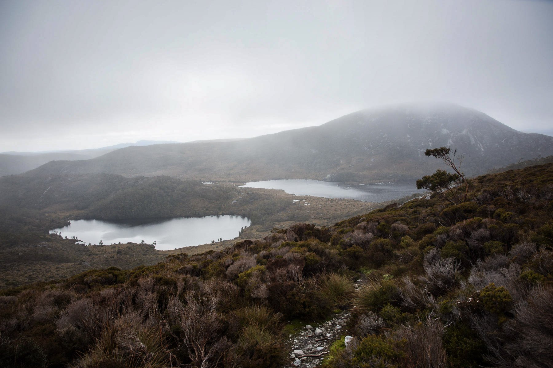【F】 Up Close And Personal With The Tudor Heritage Ranger