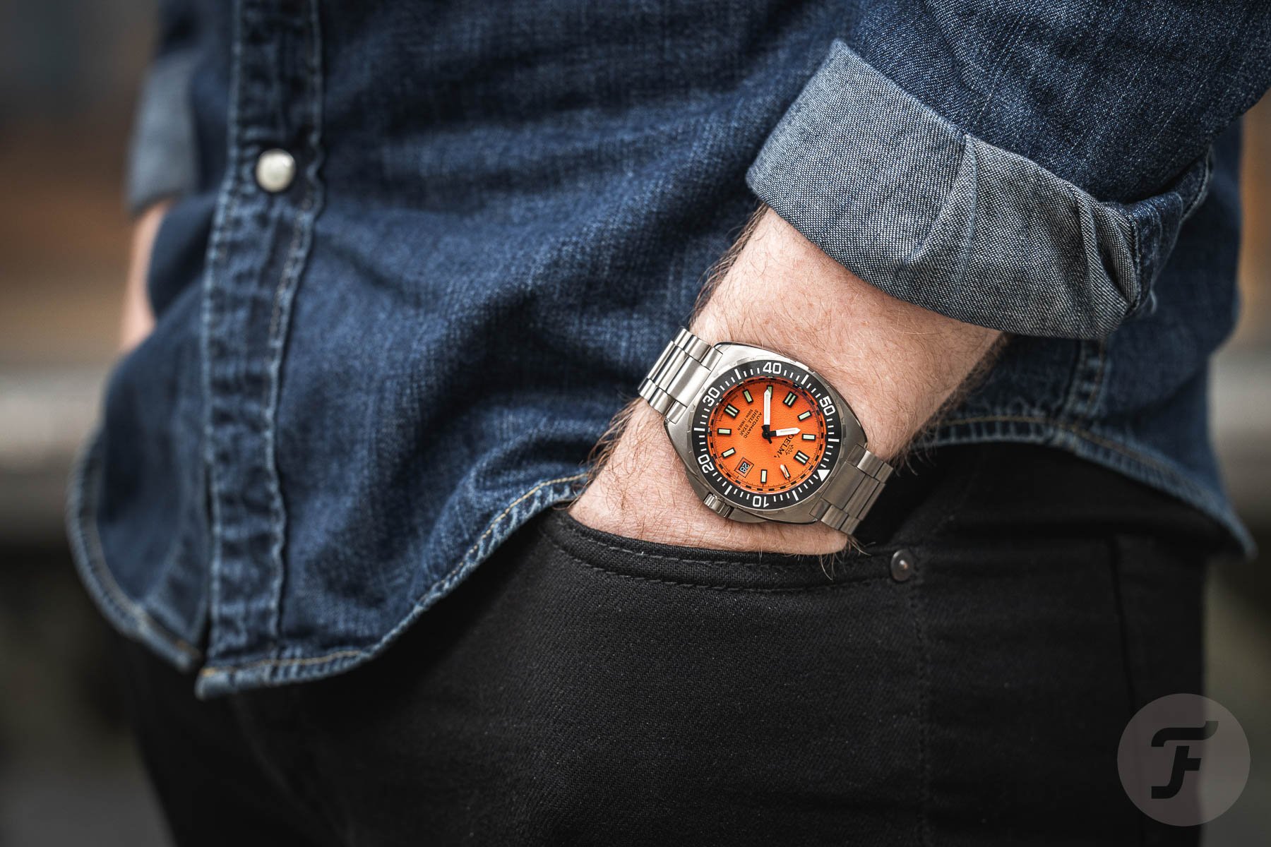 【F】 Hands-On: The New Delma Shell Star Titanium Dive Watch