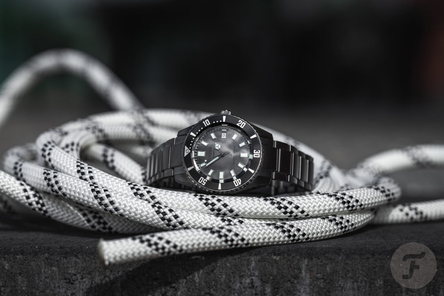 【F】 Hands-On: The Citizen Promaster Mechanical Diver 200m