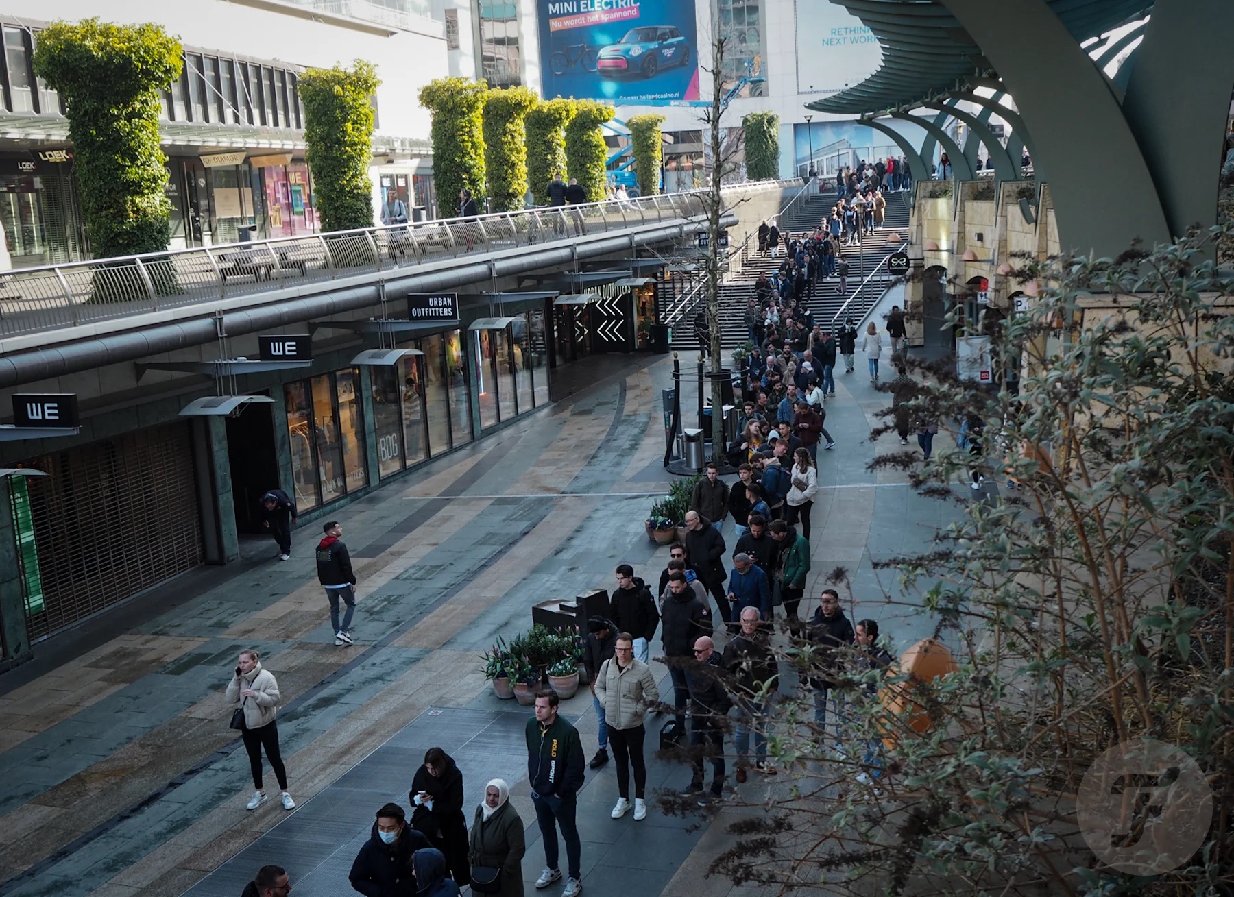 【F】 Waiting For A Watch Is A Luxury Experience