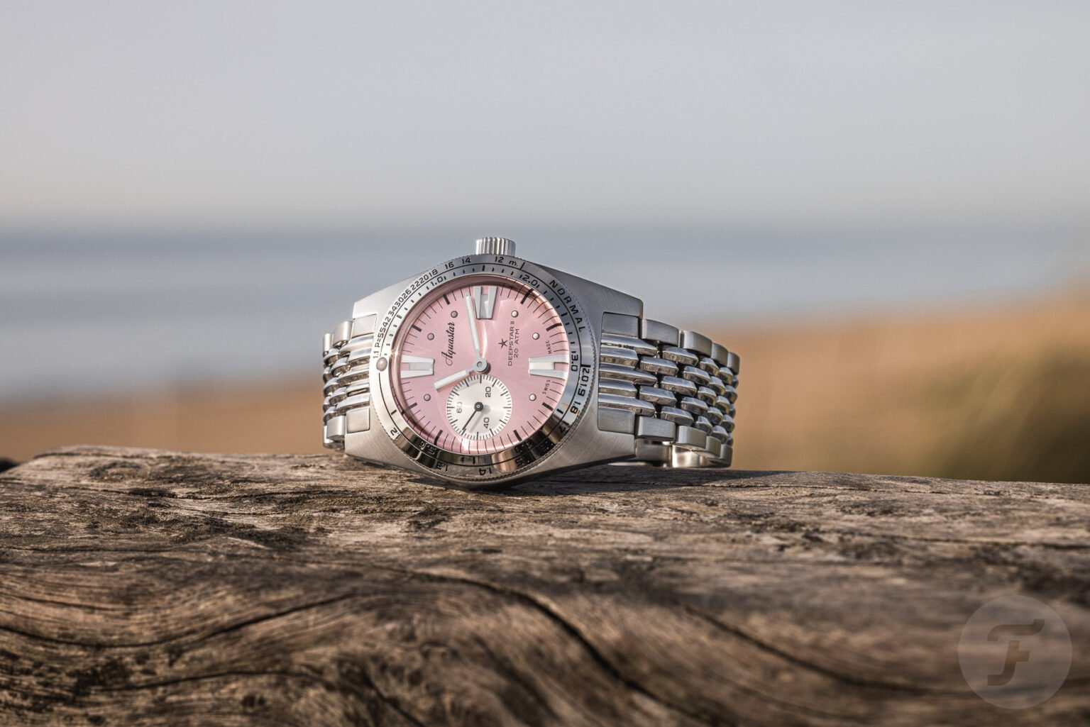 【F】 The Fratello Team's Most Worn Watches Of 2023