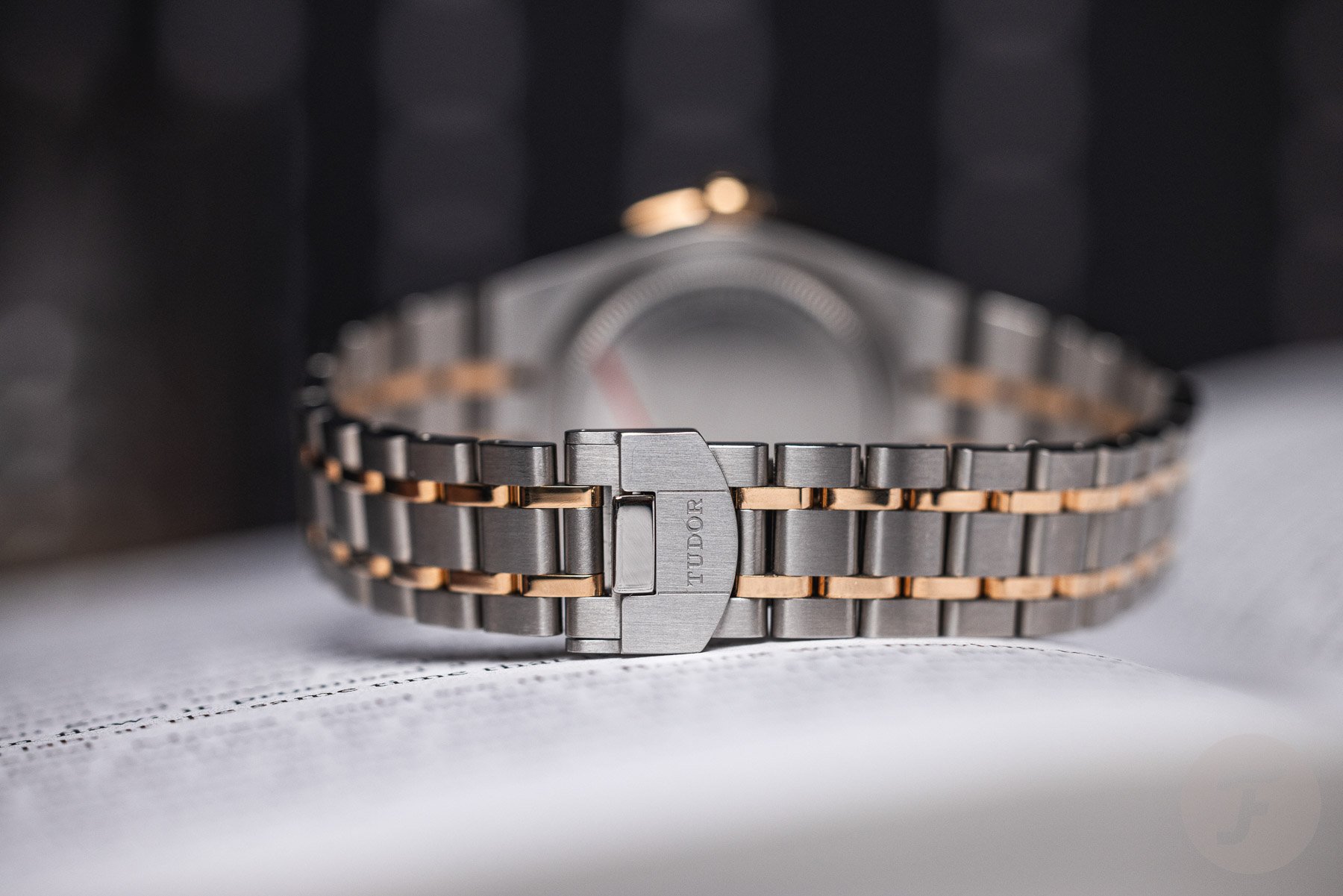 【F】 Checking Out The 34mm Tudor Royal With "Cheese"