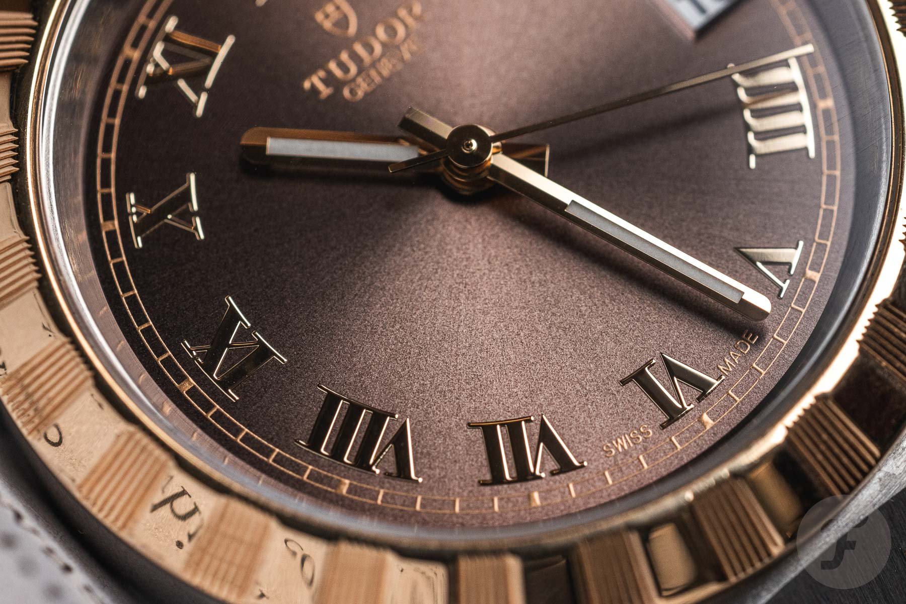 【F】 Checking Out The 34mm Tudor Royal With "Cheese"