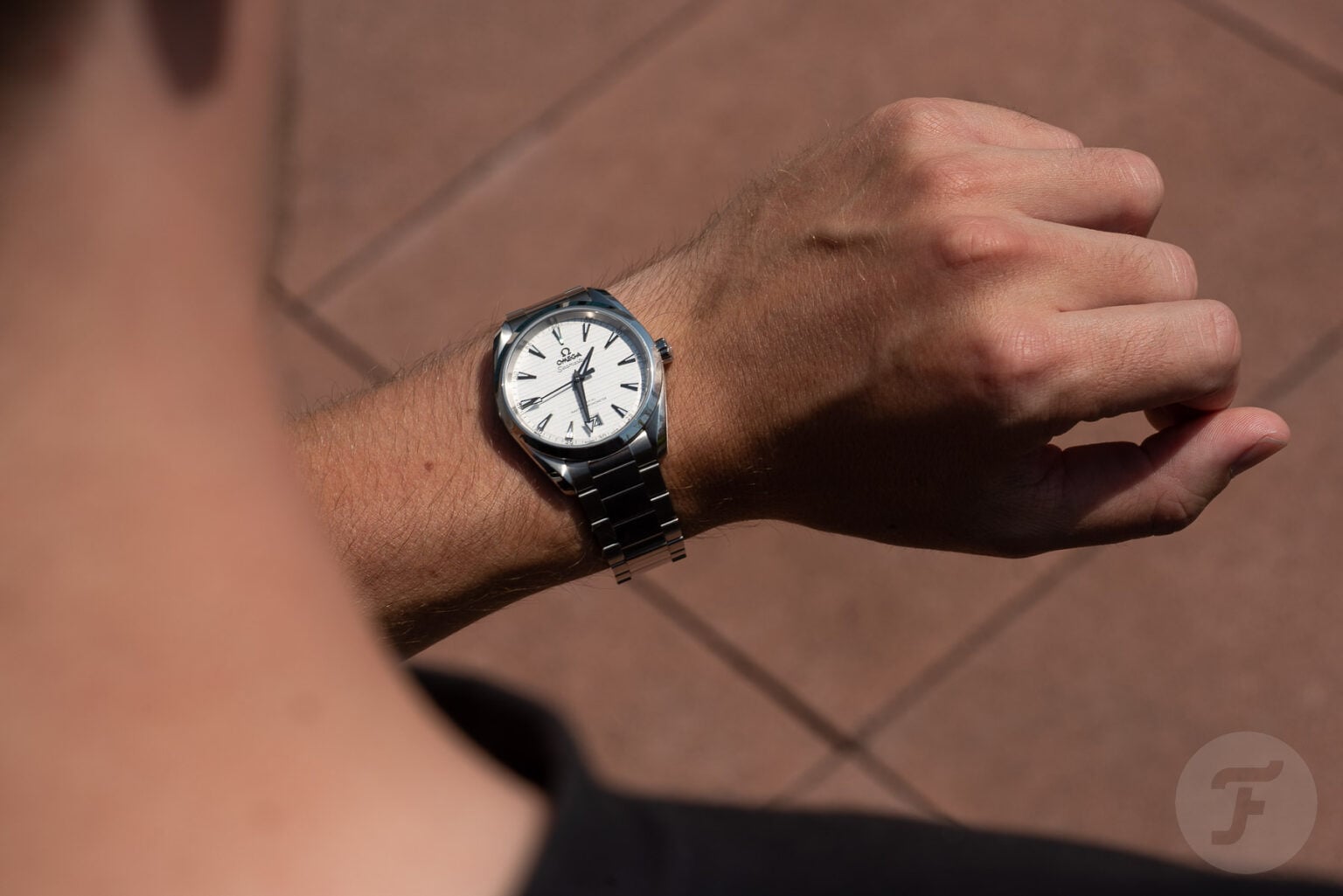 【F】 Hands-On: Omega Aqua Terra 38mm