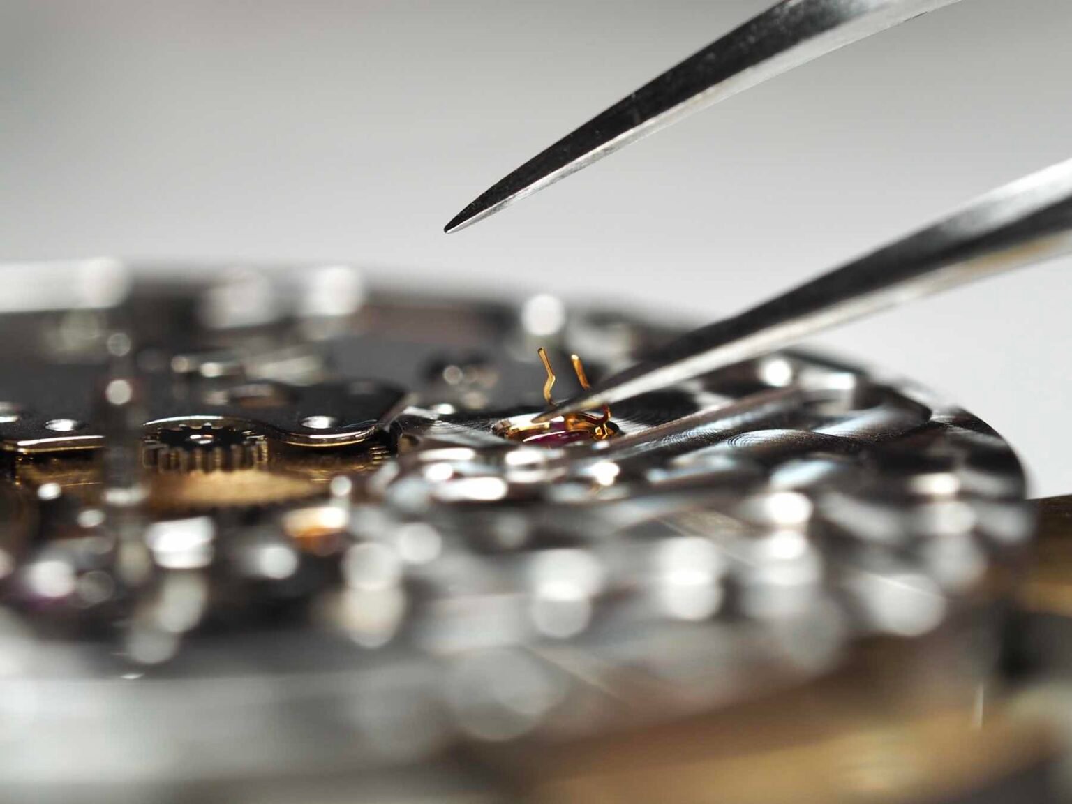 【F】 What Actually Happens During A Regular Watch Service?