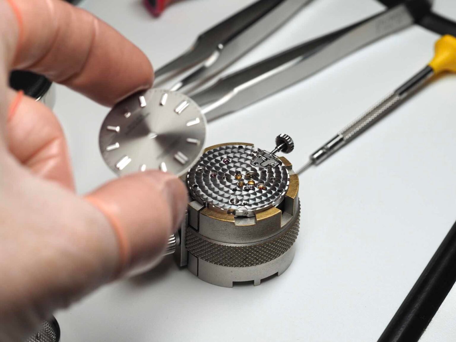 【F】 What Actually Happens During A Regular Watch Service?