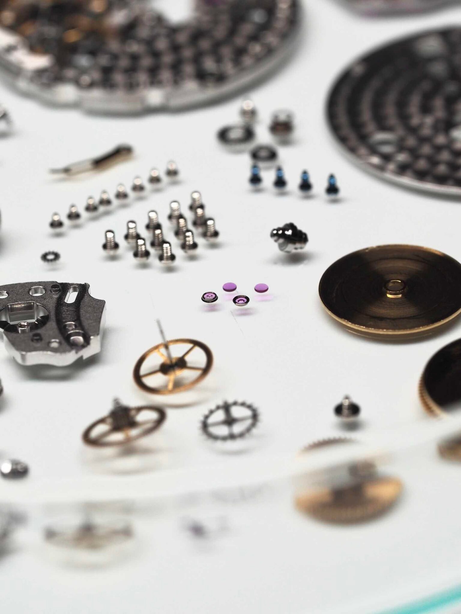 【F】 What Actually Happens During A Regular Watch Service?