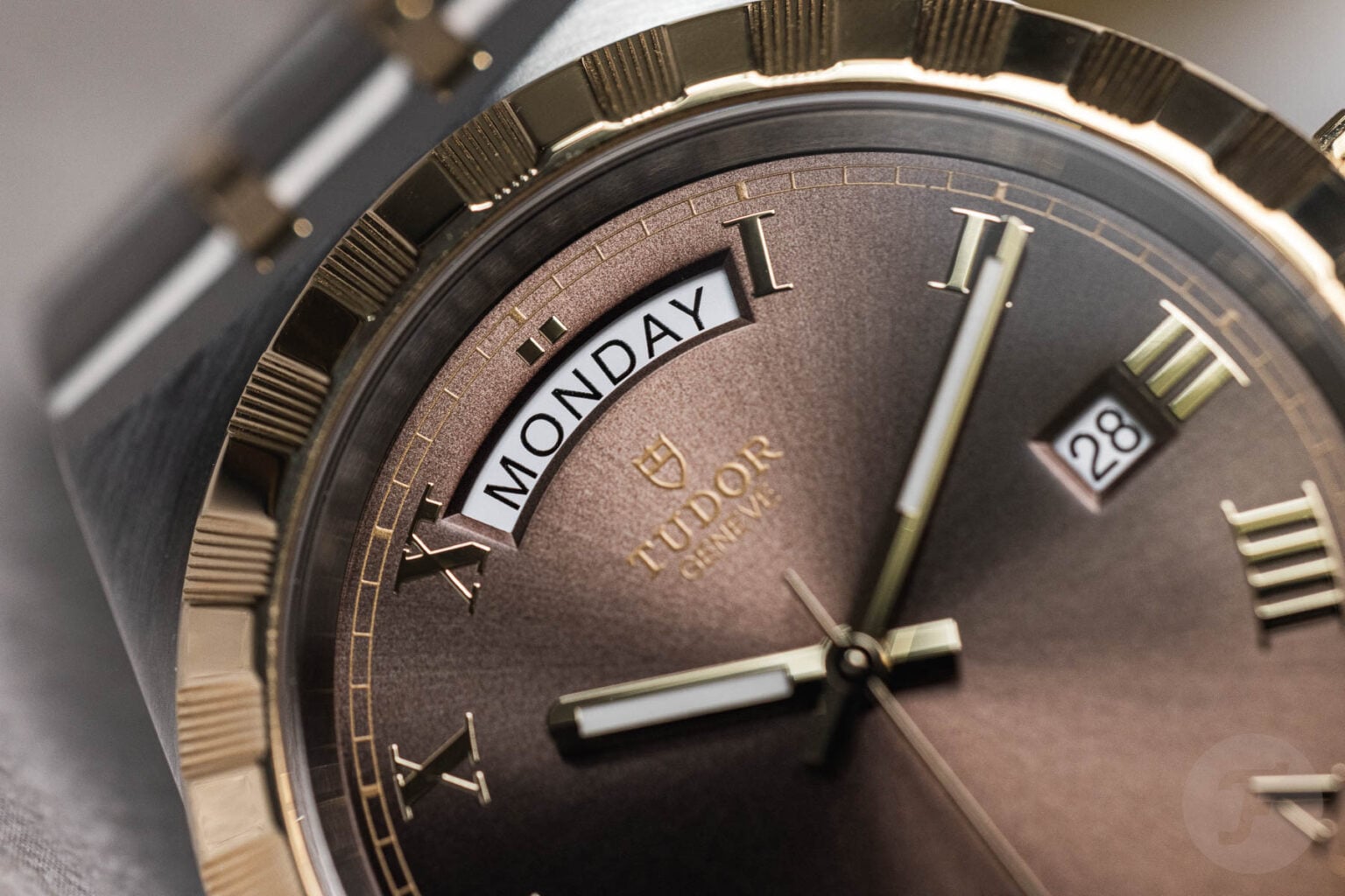 Hands-On: The Chocolate-Dial Tudor Royal In Steel And Gold