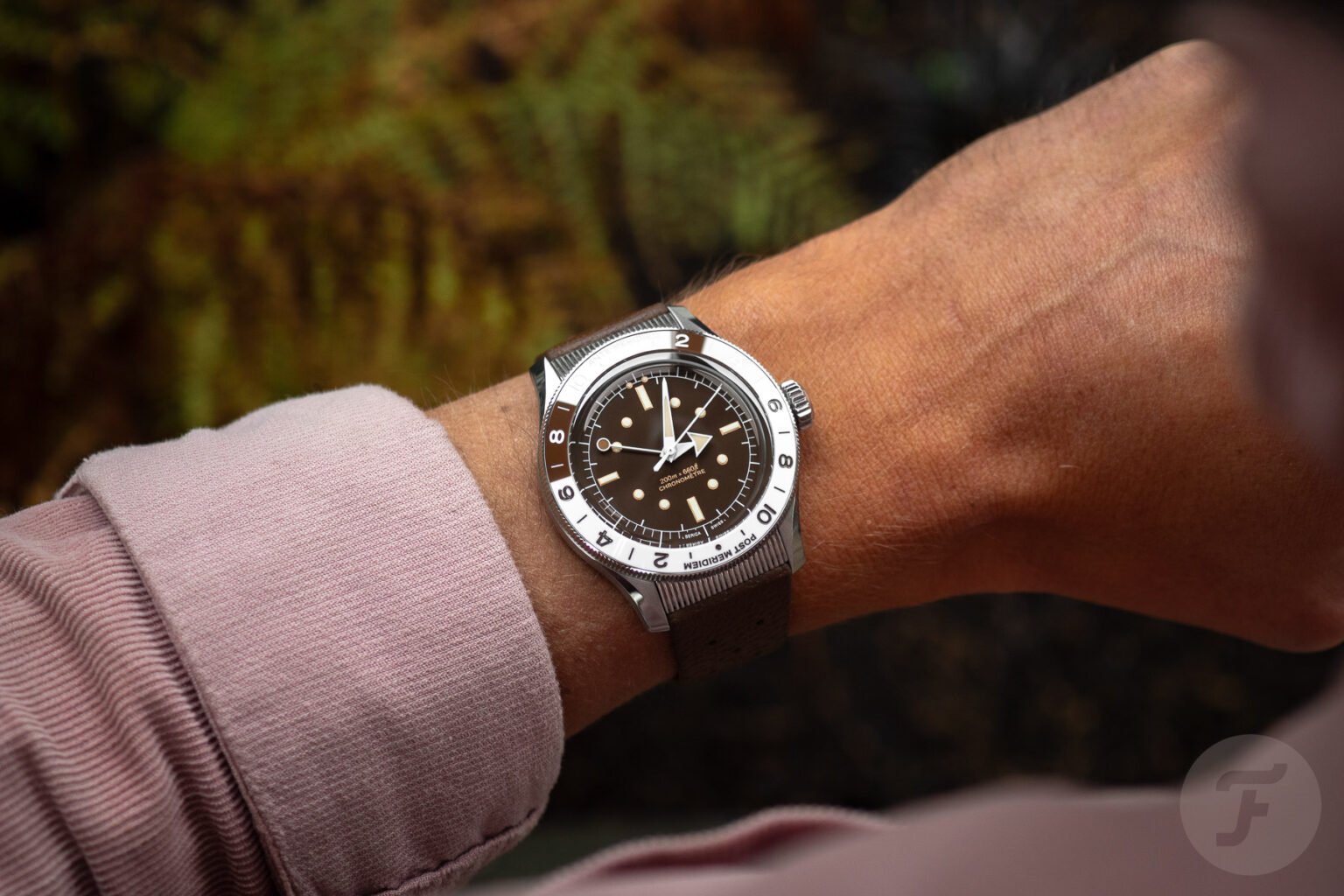 【F】 Introducing: Serica 8315-2 With A New Color And Grills