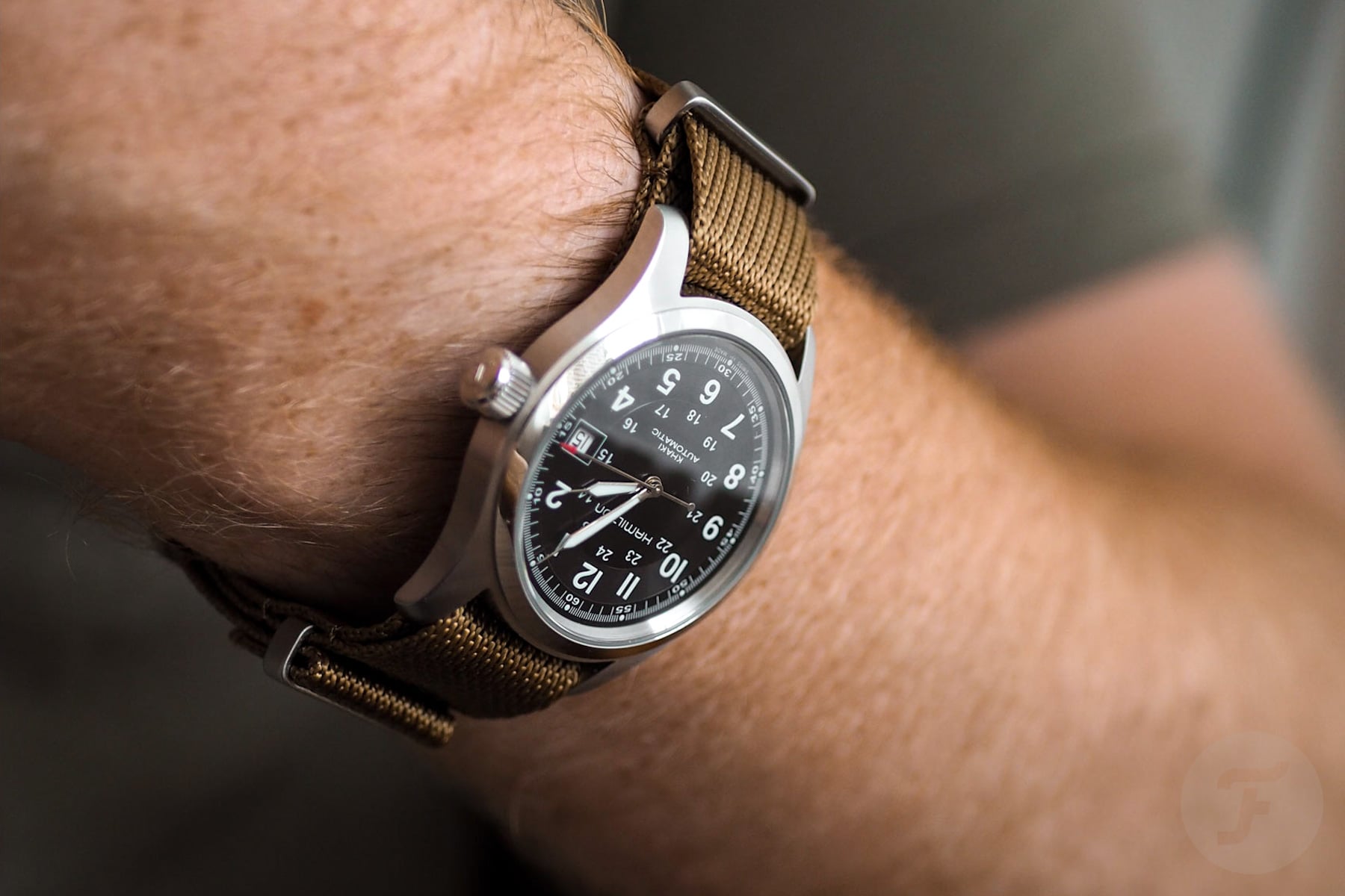 【F】 Exploring Evergreens: The Hamilton Khaki Field Auto