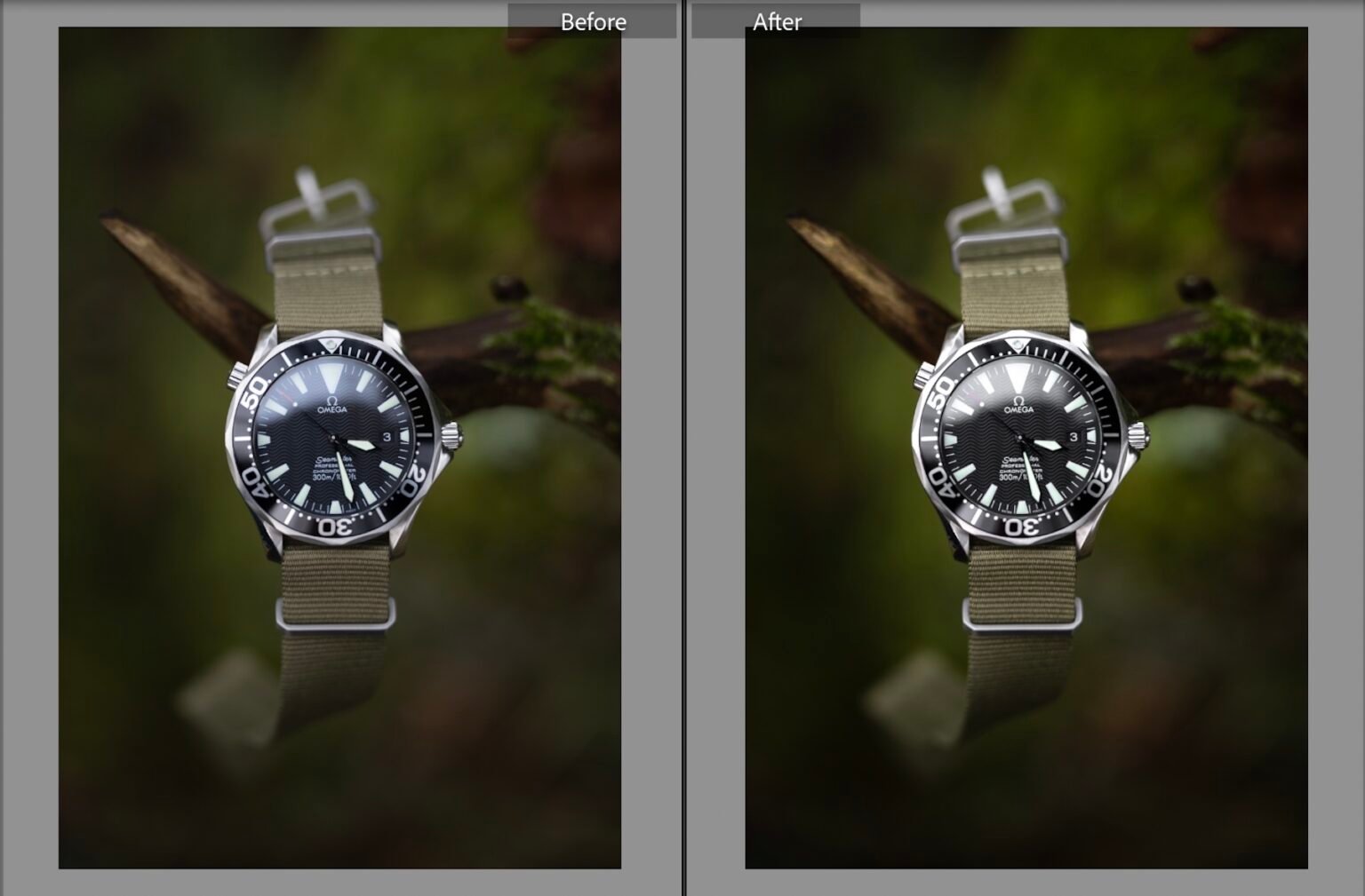 【F】 Watch Photography With The New Nikon Zf