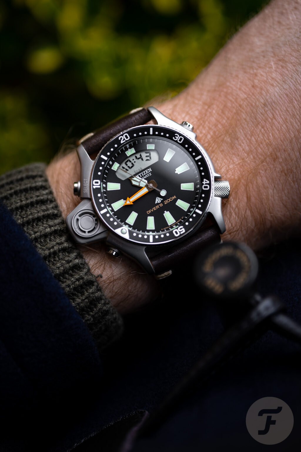 【F】 Watch Photography With The New Nikon Zf