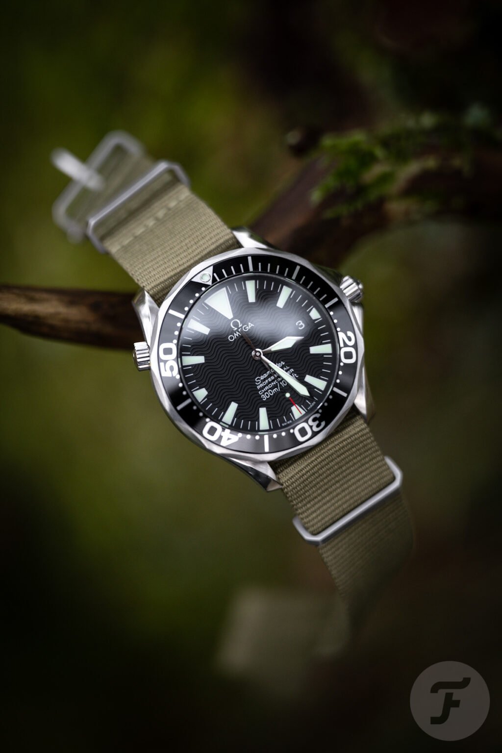 【F】 Watch Photography With The New Nikon Zf