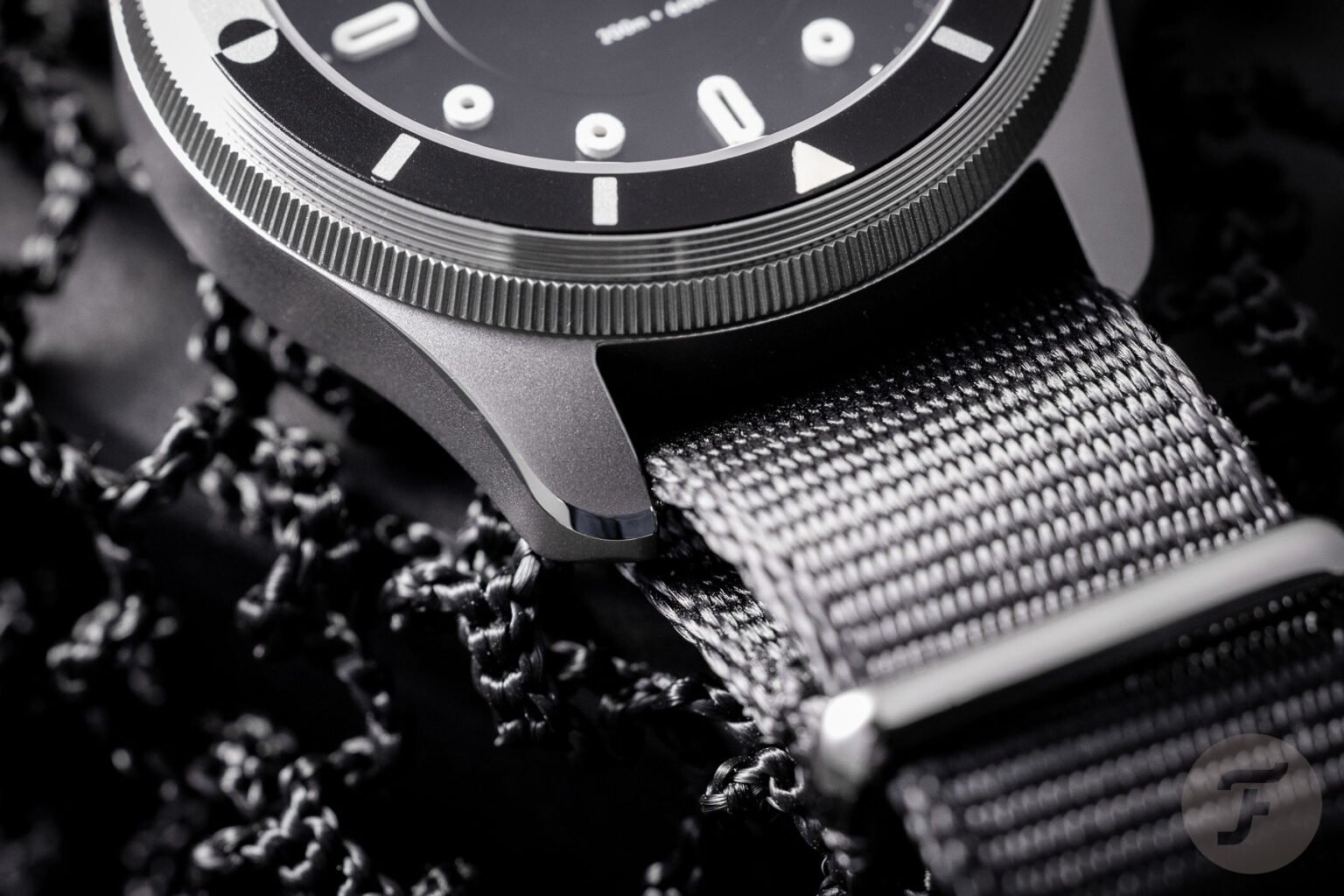 【F】 Hands-On: The Minimalist Peren Regia Dive Watch