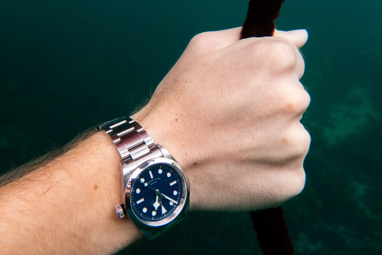 【F】 Underwater Watch Photography With The OM System TG-7