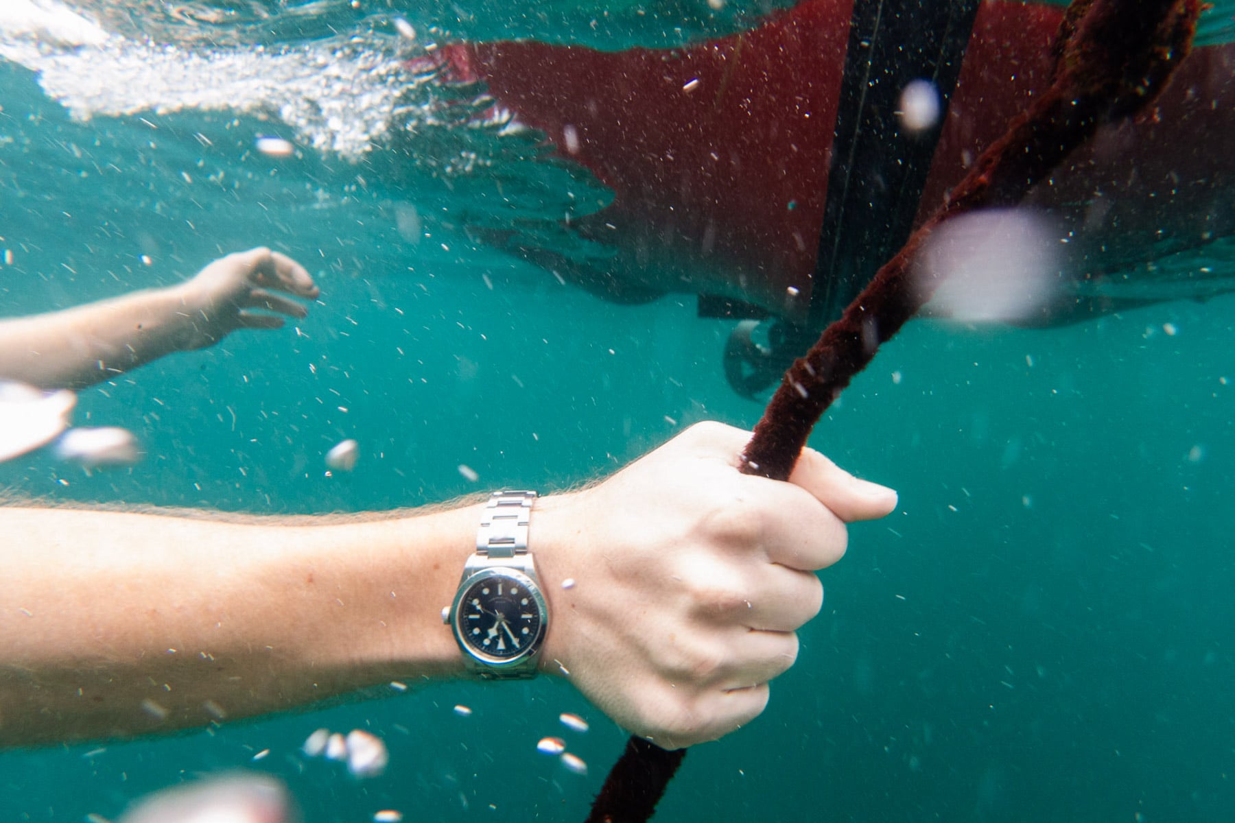 【F】 Underwater Watch Photography With The OM System TG-7
