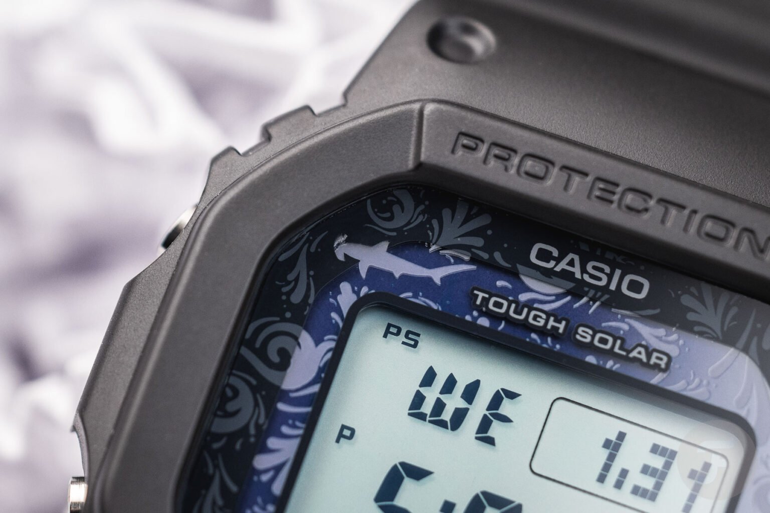【F】 G-Shock GW-B5600 × Charles Darwin Foundation Series