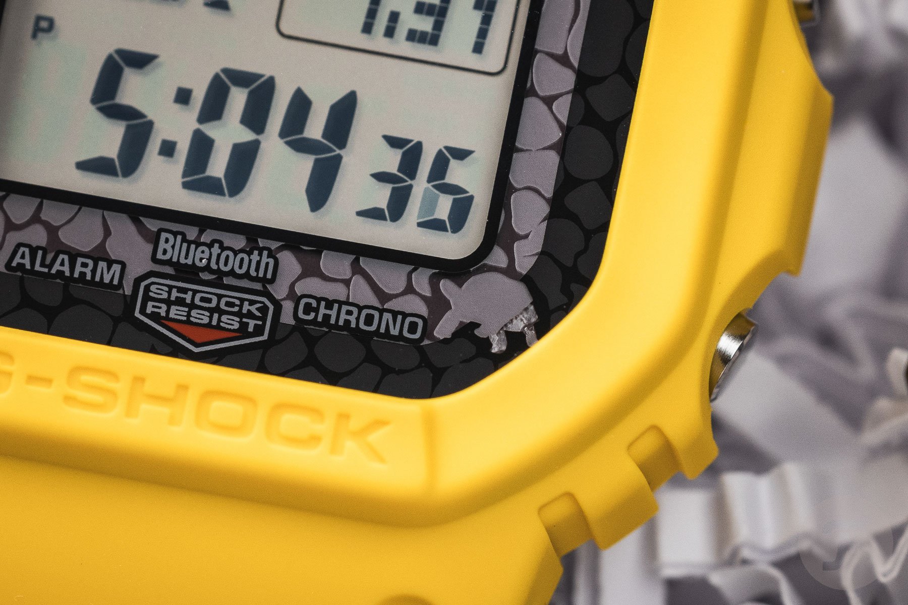 【F】 G-Shock GW-B5600 × Charles Darwin Foundation Series