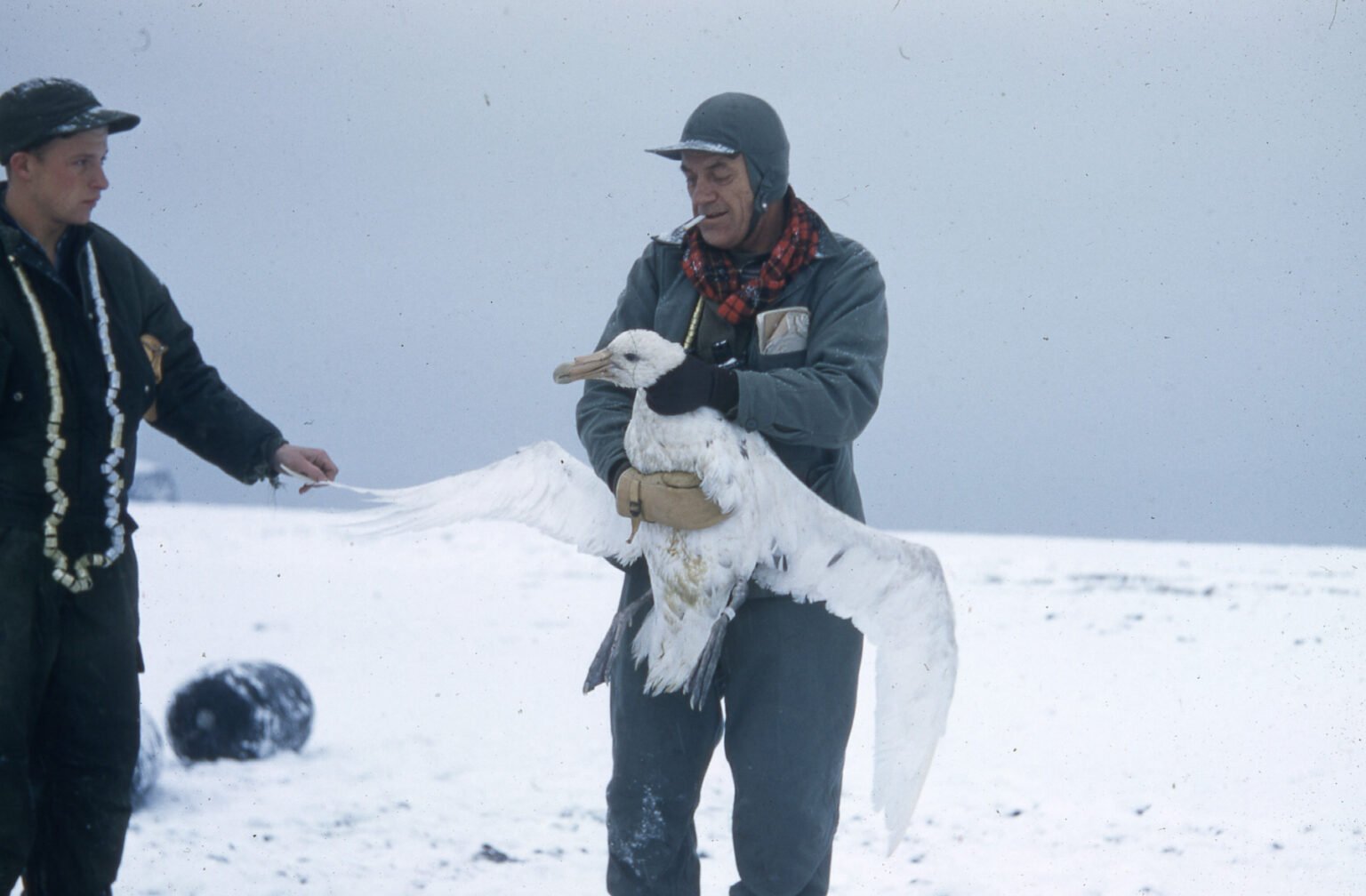 【F】 Operation Deep Freeze And The Nivada Grenchen Antarctic