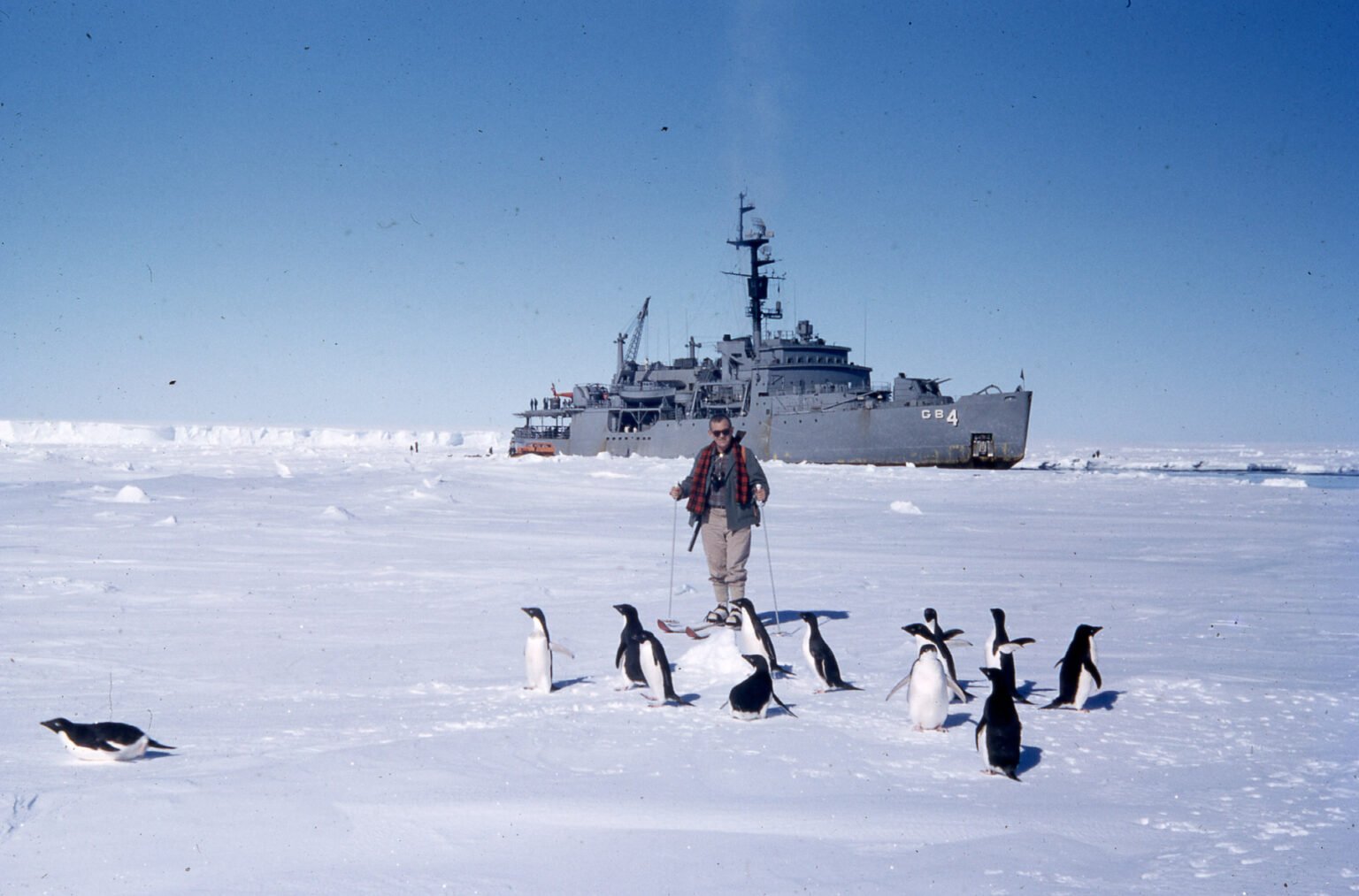 Nivada Antarctic: A Case For Returning To "Small" Tool Watches