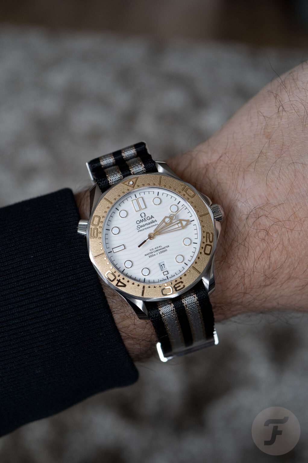 【F】 Hands-On: The Omega Seamaster Diver 300M Paris 2024