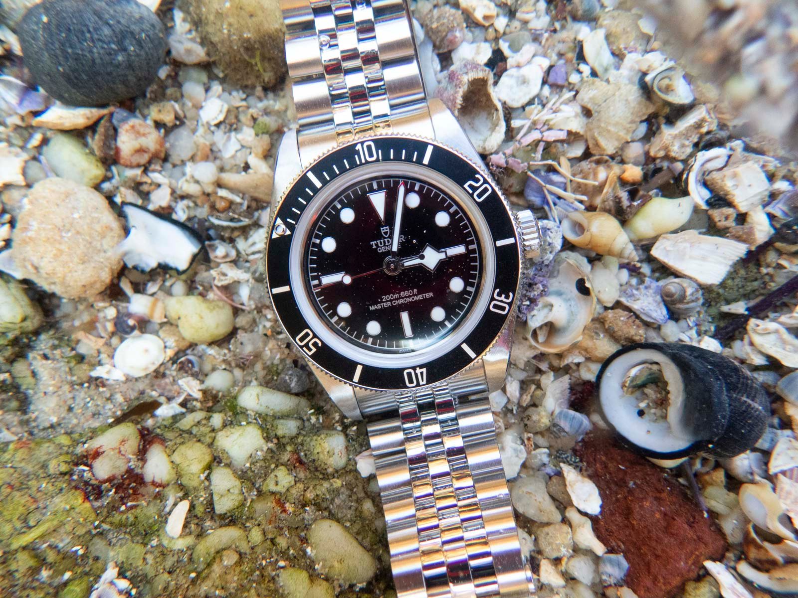 Testing Tudor's Black Bay "Monochrome" In The Pacific Ocean