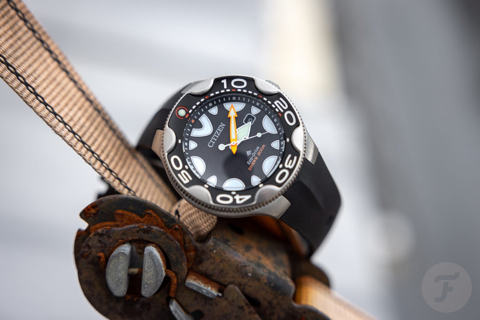 Hands-On: Citizen Promaster Eco-Drive Diver Orca BN0230-04E