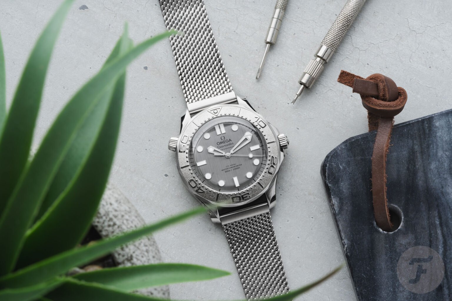Hands-On: The New Omega Seamaster Diver 300M "Silver Surfer"
