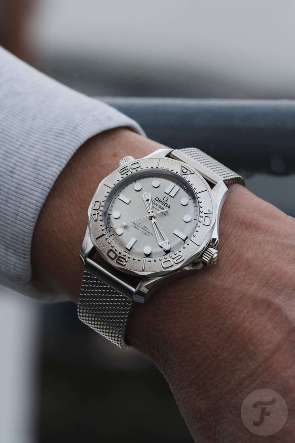 Hands-On: The New Omega Seamaster Diver 300M "Silver Surfer"