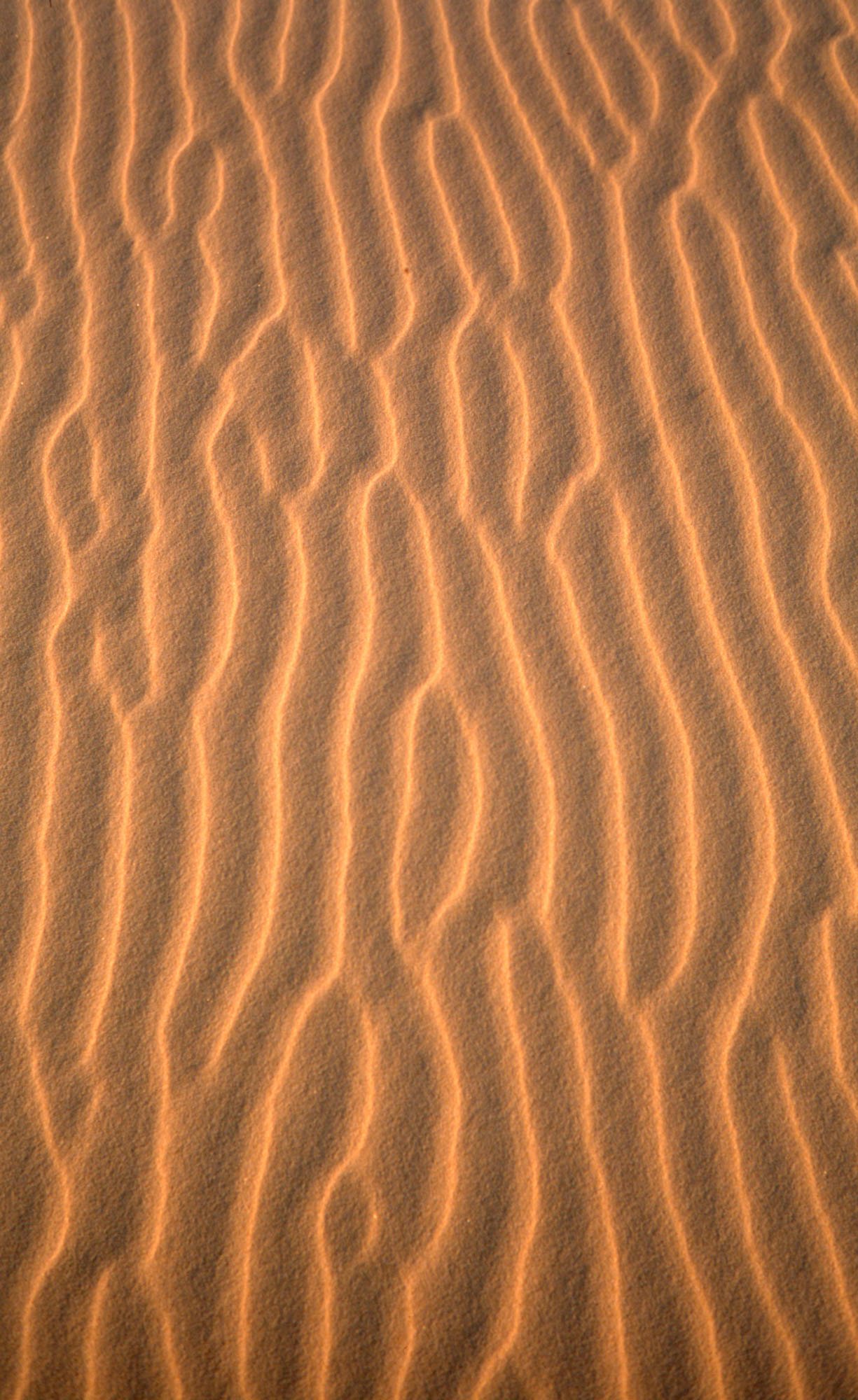 Photographing Giant Dunes With The IWC RAAF Pilot's Watch