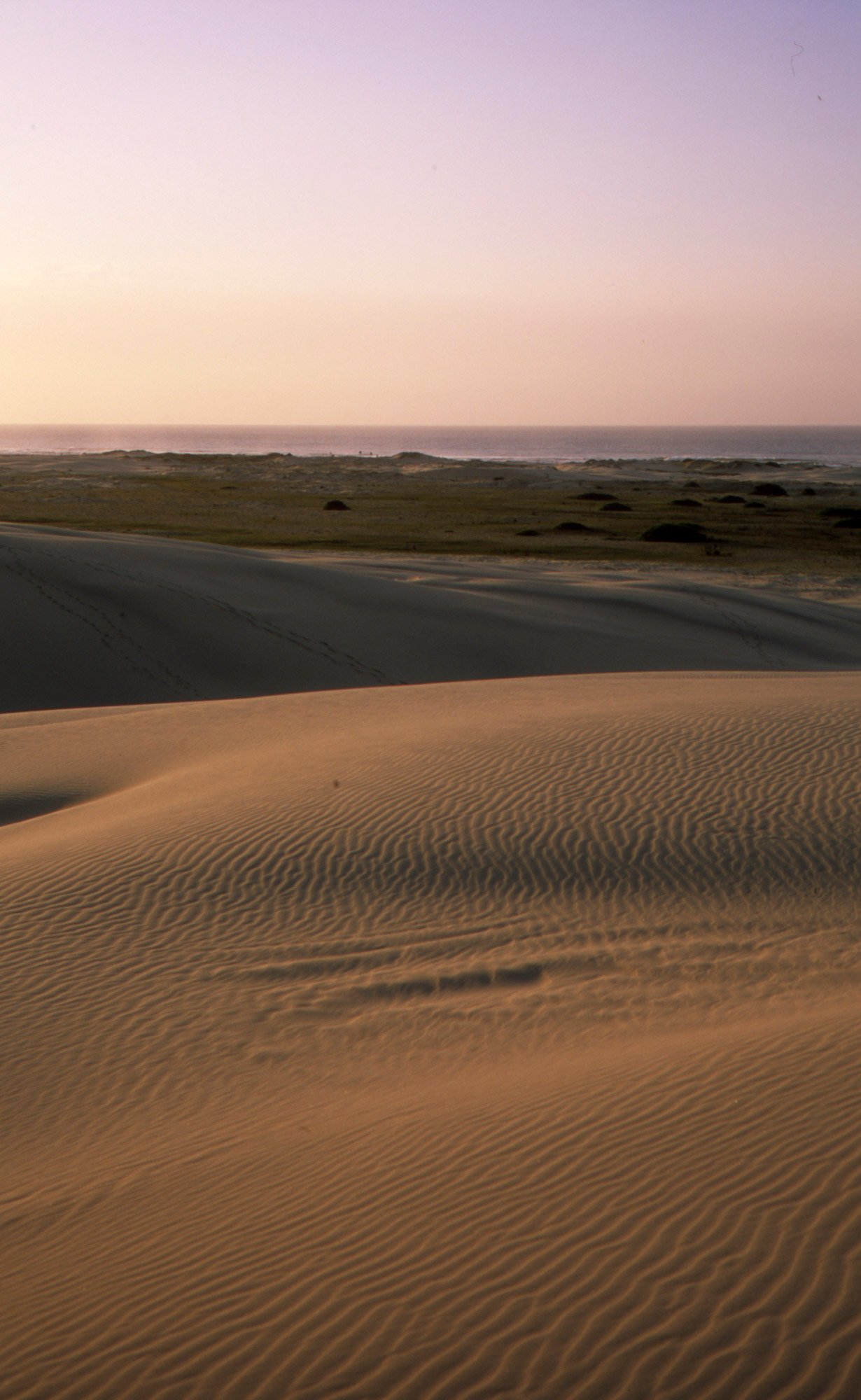 Photographing Giant Dunes With The IWC RAAF Pilot's Watch