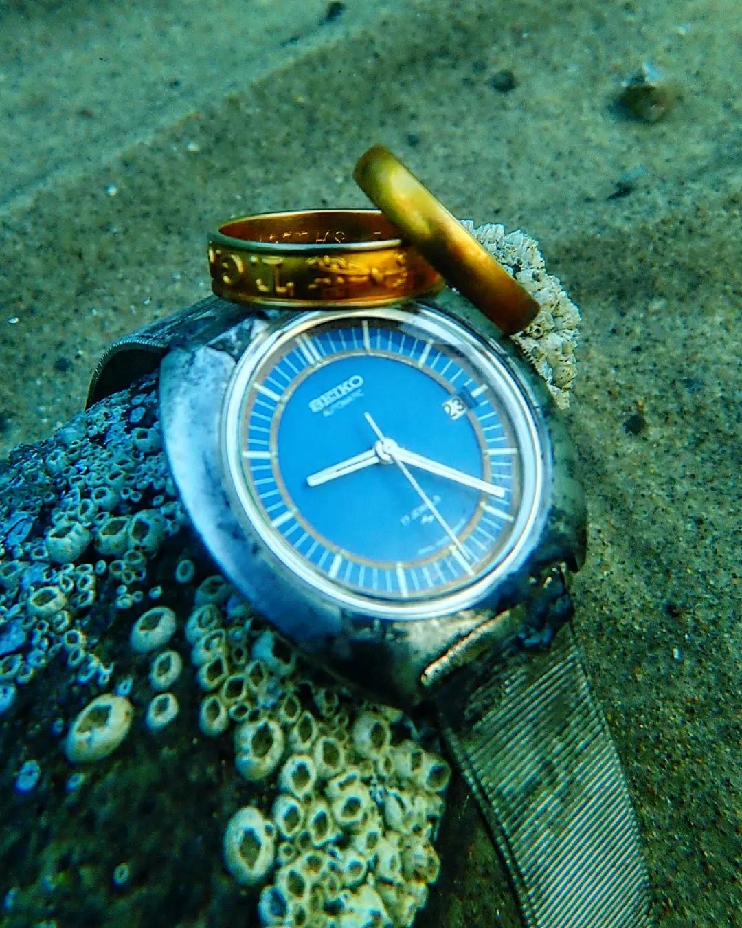 Lost Watches: Finding An Omega Seamaster On The Ocean Floor